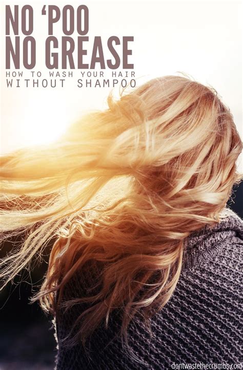 This Article Explains How You Can Wash Your Hair Without Shampoo Its