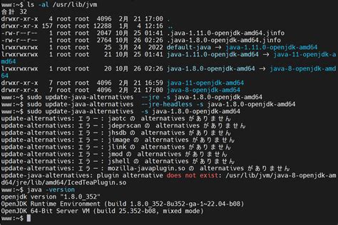 openjdk 8 のインストールと設定（ubuntu 上）