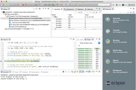 how to setup rustdt