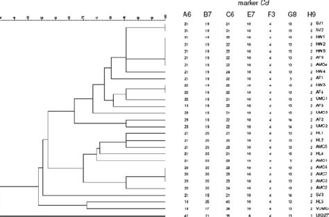 Dendrogram Based On Profiles Of Seven Markers For All Pcr Ribotype 027