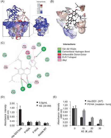 Illustration Of Intermolecular Interaction Between Lowest Binding