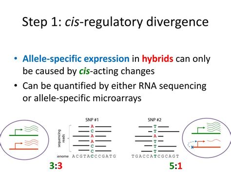 Ppt The Evolution Of Gene Expression Impacting Human Disease