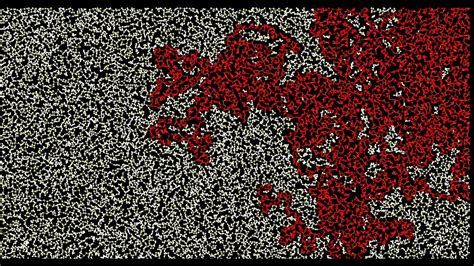 dfs visualization 20 000 vertices graph traversal python pygame