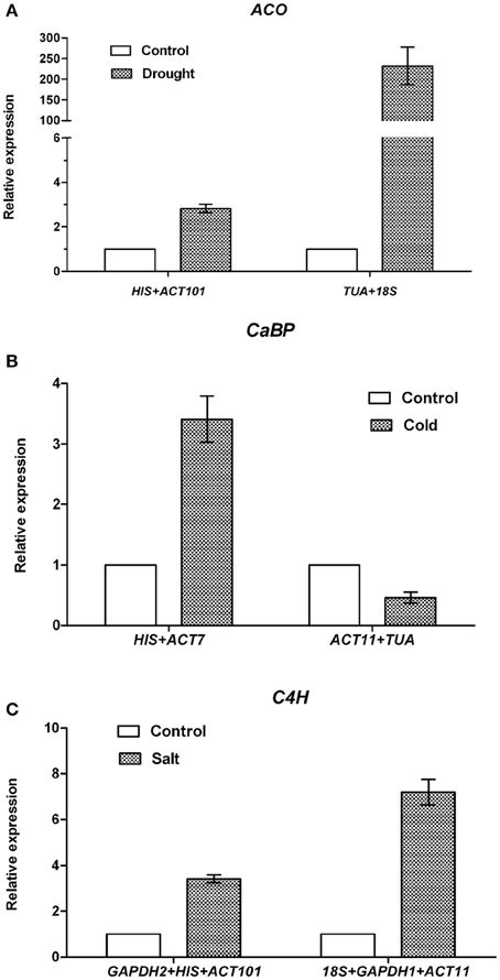 Frontiers Selection Of Appropriate Reference Genes For Quantitative