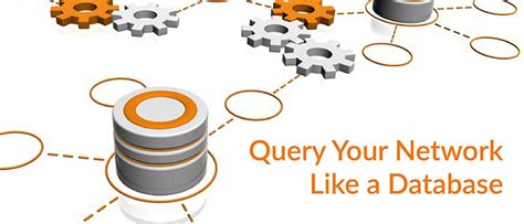 query your network like a database