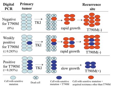 Usefulness Of Nanofluidic Digital Pcr Arrays To Quantify T790m Mutation