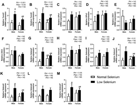 ijms free full text analysis of selenoprotein expression in