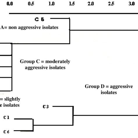 Dendrogram Showing Similarity And Successive Clustering Of Isolates Of