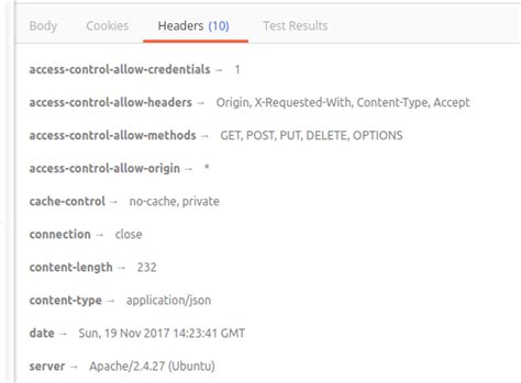 angularjs problema com cors usando ionic e lumen stack overflow em