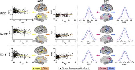 Illustrative Areas Exhibiting Age And Sex Related Variation In R Fmri