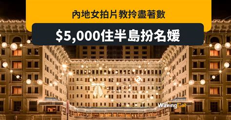 內地女 5000住半島 拍片教路攞盡拖鞋洗浴用品「扮名媛」 Wavingcat 招財貓