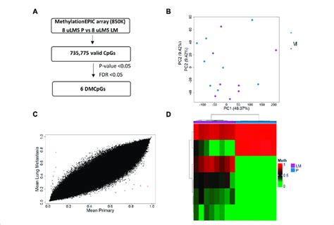 Genome Wide Dna Methylation Analysis Of The Itf In Paired Tumors Of