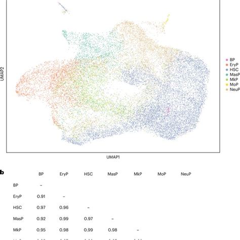 Neurips Dataset A Umap Plot Of Single Cell Expression Data Coloured