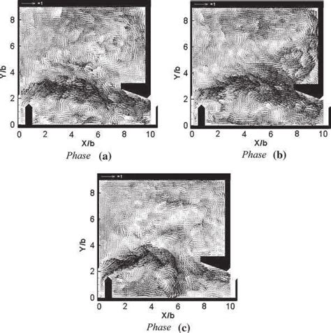 Piv Instantaneous Velocity Fields Characterizing The Various Phases Of