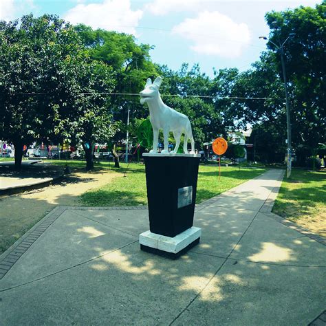 A Que Debe Su Nombre El Parque Del Perro Historia Caleña Crazy Genius
