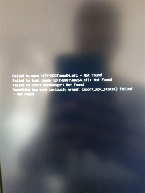 I Suddenly Get This Error While Booting Any Linux Iso From Both My Usb