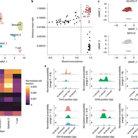 Single Cell Chromatin Analysis Workflow With Signac A Overview Of Key