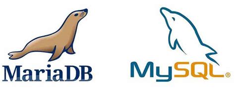 docker构建mariadb数据库 docker mariadb 初始创建数据库 csdn博客