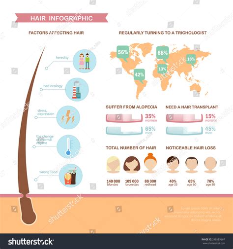 Colorful Hair Infographic About The Problem Of Hair Loss Template With