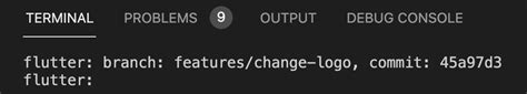 [solved] show git last commit hash and current branch tag in flutter