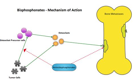 Effects Of Bisphosphonate Treatment On Recurrence And Cause Specific