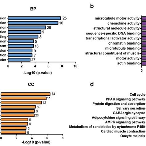 Top 10 Functional Enrichment Analyses Of The Overlapping Degs A Go