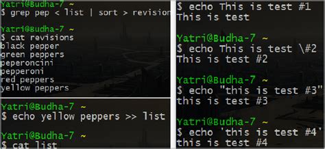 the beginner s guide to shell scripting 3 more basic commands and chains