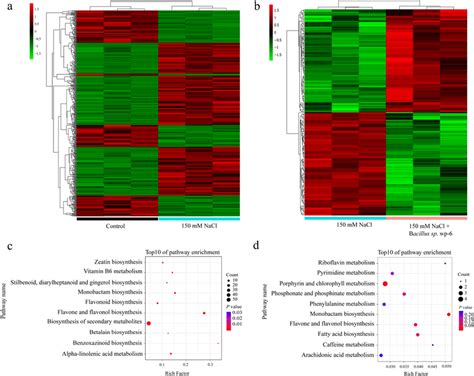 A Hierarchical Cluster Heat Map And Kegg Pathways Of The Differentially