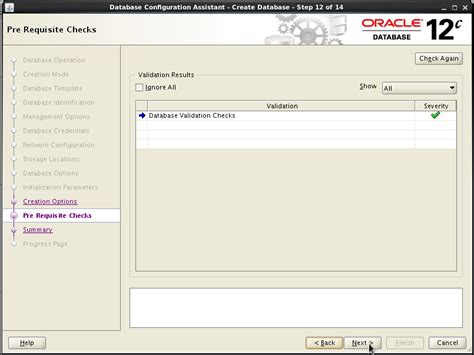 creating the oracle database release 12c 12 1 0 1 0 instance for data