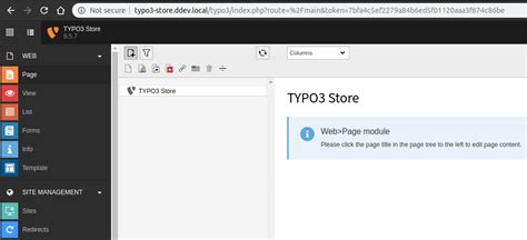 productive typo3 development lamp mamp wamp vs docker ddev composer