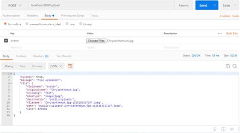 javascript nodejs with multer not uploading files through postman