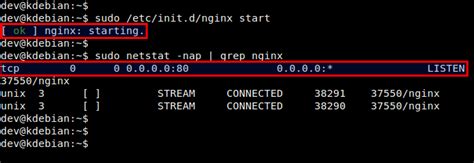 how to compile and install nginx web server from source on