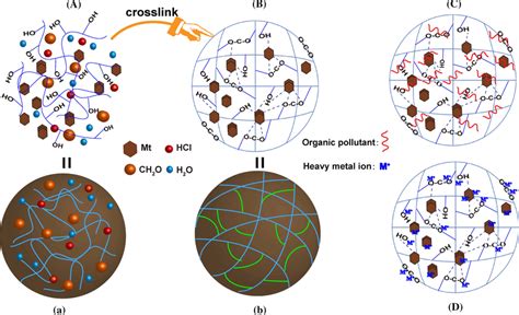 A Composite Particles Prior To Cross Linking A Composite Particle