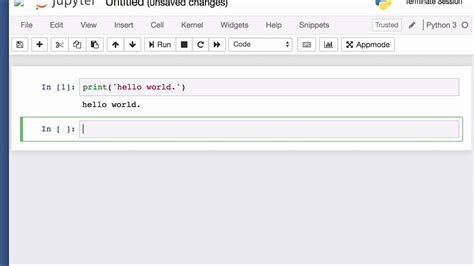 running a python 3 script in a nanohub jupyter notebook youtube