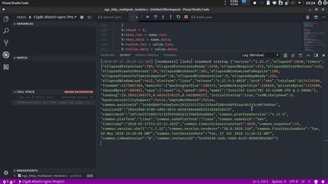 failed to continue nginx debug through gdb attach in vscode while