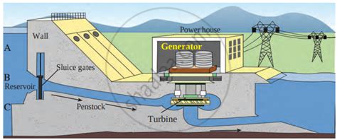 Explain With A Diagram Of Step By Step Energy Conversion In