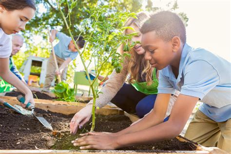 A Importância Da Educação Ambiental No Ambiente Escolar Fdplearn