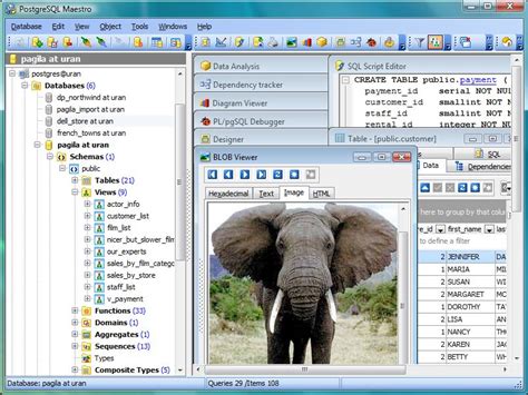 postgresql maestro 13 7 a win gui for postgresql administration