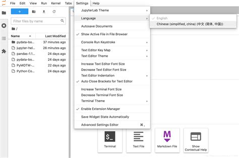 jupyter lab 3安装和使用（中文界面） jupyterlab中文界面 csdn博客
