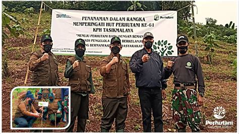 Perhutani Sambut Hut Perhutani Ke 61 Perhutani Lakukan Penanaman Pohon