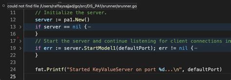 debugging vscode debugger debugger could not find file go file