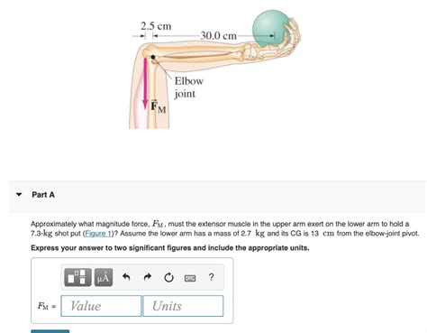 Solved Approximately What Magnitude Force Fm Must The