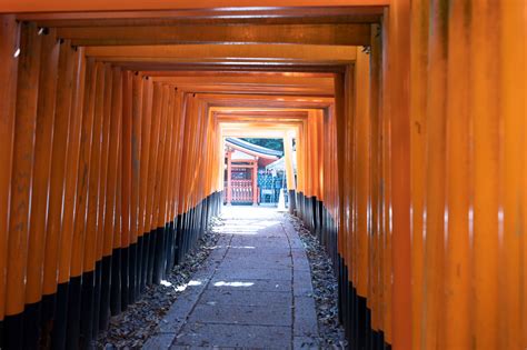 ”美” 静かな伏見稲荷を求めて「美人美人」「美人を求めて」「美を求めて」「自然を求めて」「アルプスを求めて」「自然の美と美」 野山の散策