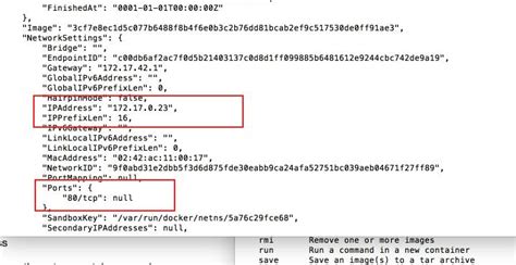 php can not access wordpress configured in docker even though its