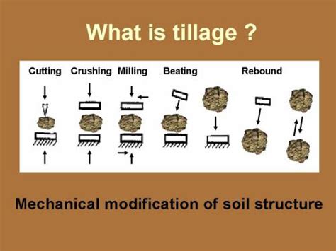 Use Of Tillage In Organic Farming Systems The Basics Eorganic