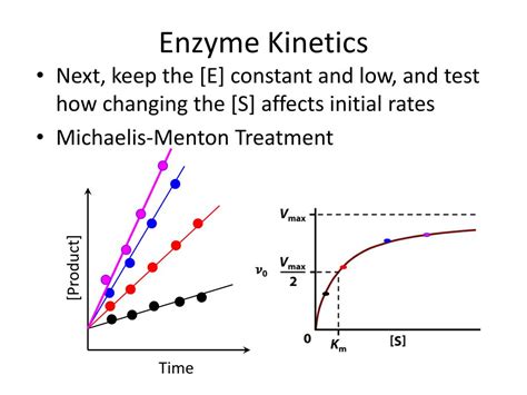 Ppt Enzyme Kinetics Powerpoint Presentation Free Download Id 2045841