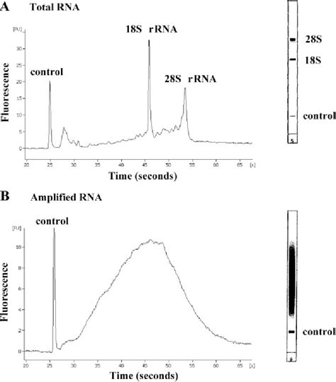 Figure 2 From Analysis Of The Bovine Neutrophil Transcriptome During