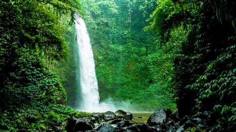 4k Tropical Waterfall In The Jungle Relaxing Nature Sounds 4k Uhd 10