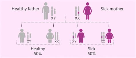 X Linked Dominant Inheritance Pattern