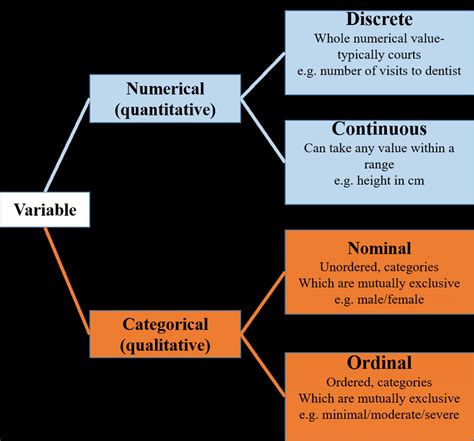 variables quantitative numerical vs qualitative categorical